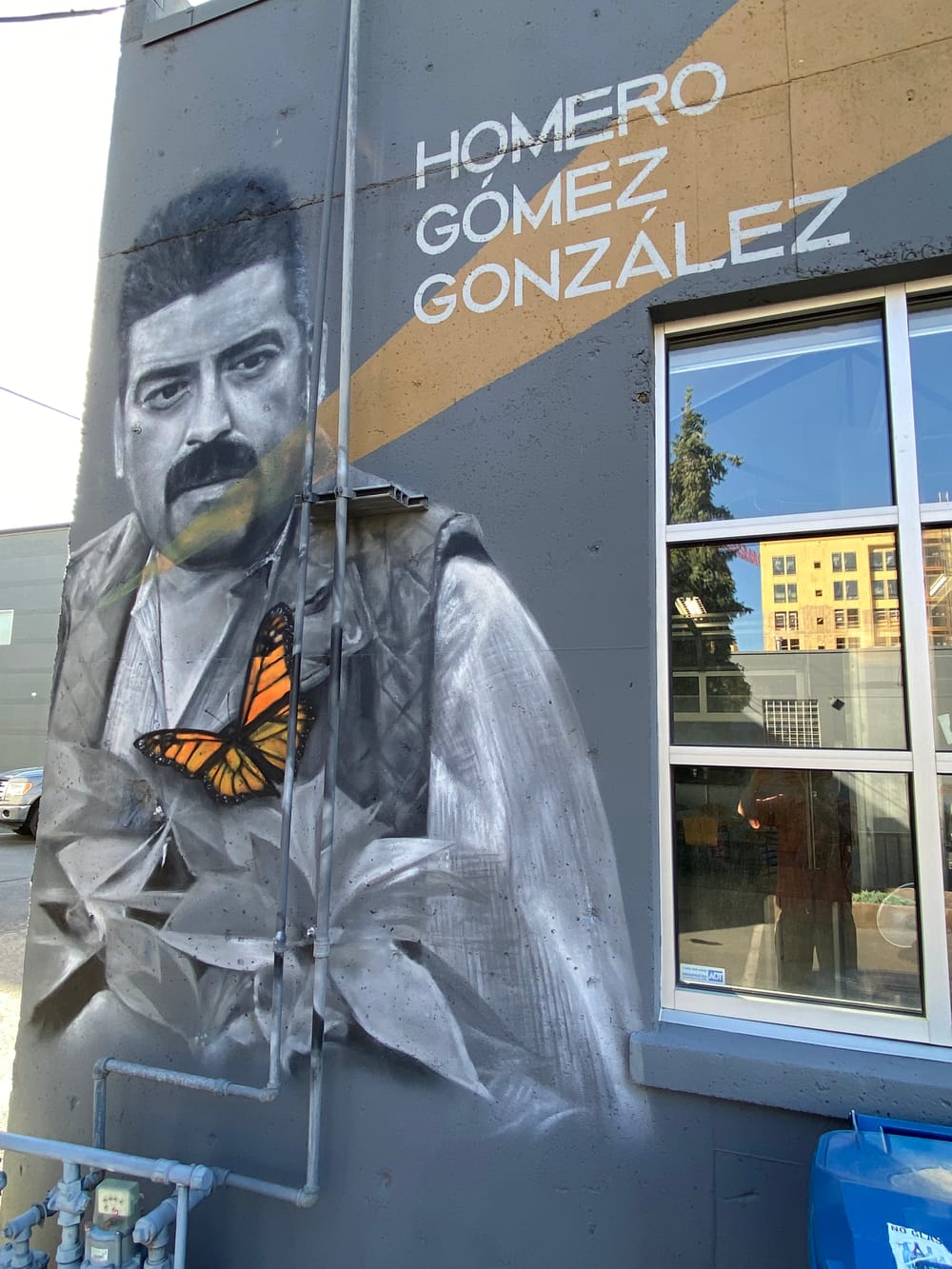 Would You Die for a Butterfly?